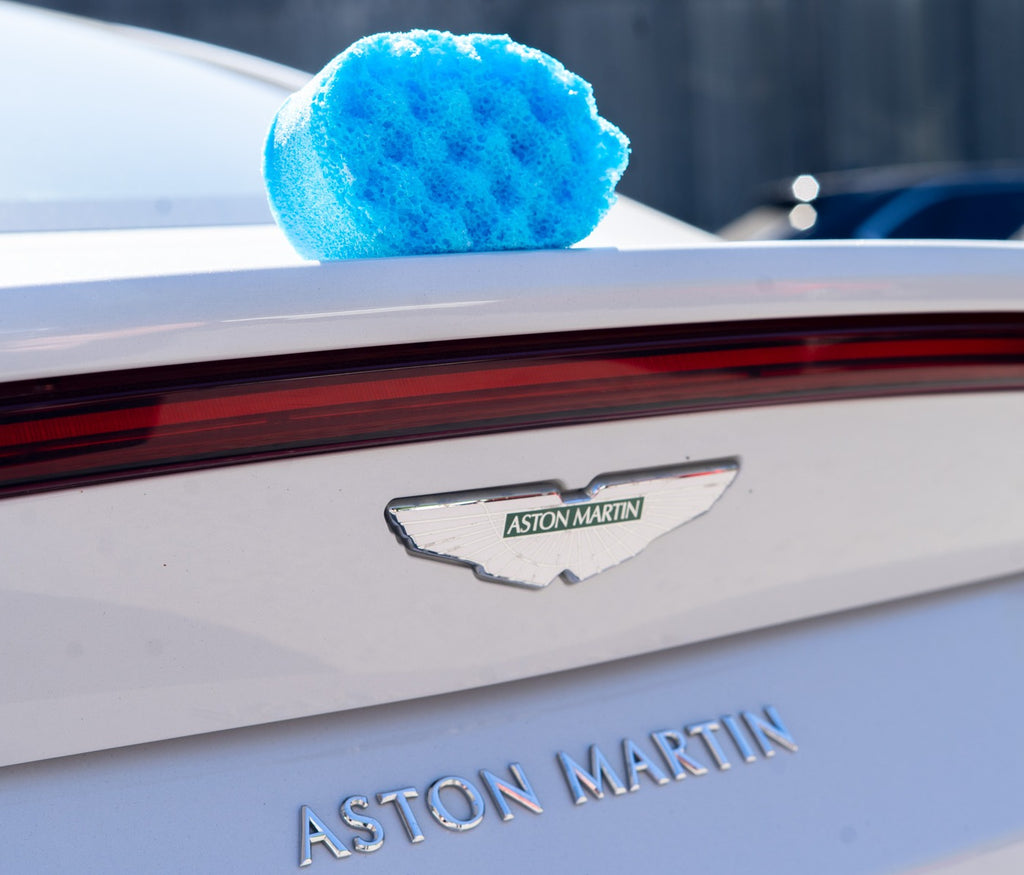 Savage | Wholesale Mini Soap Sponge | Scentish Wholesale