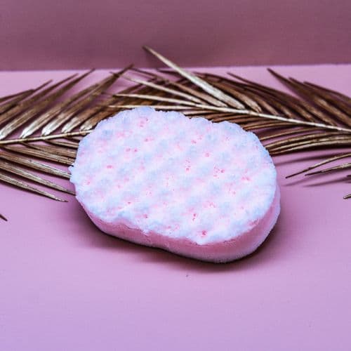 Sugar Plum | Wholesale Soap Sponge | Scentish Wholesale