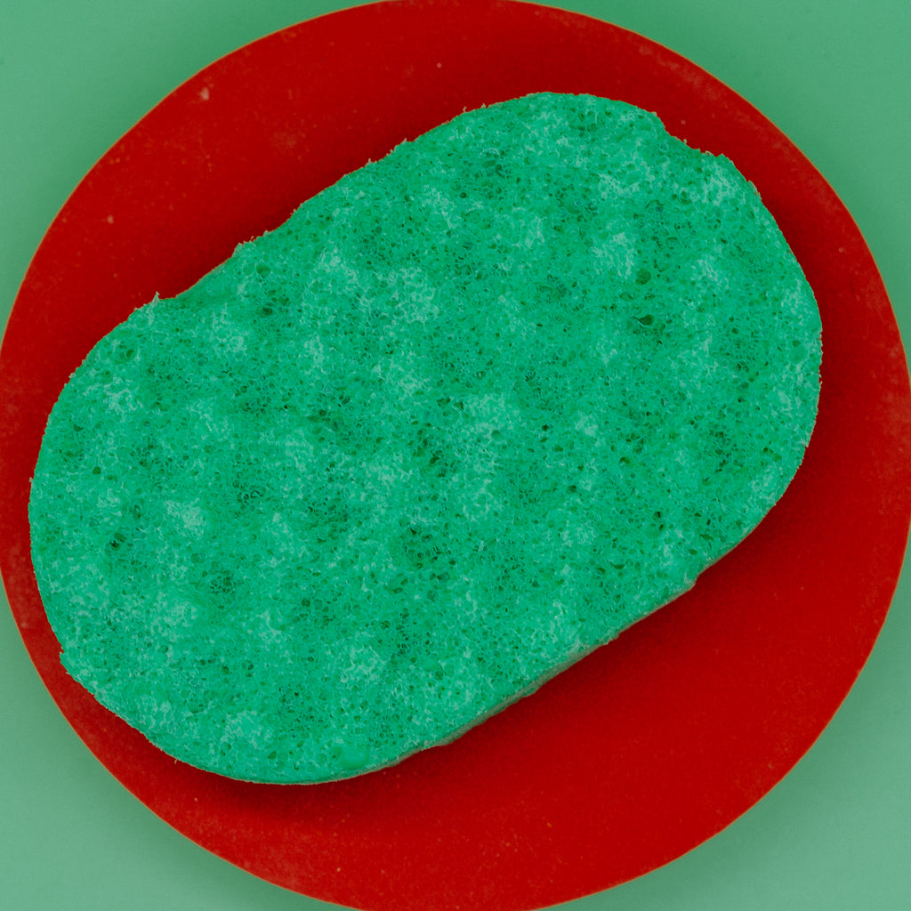 Watermelon | Wholesale Soap Sponge | Scentish Wholesale